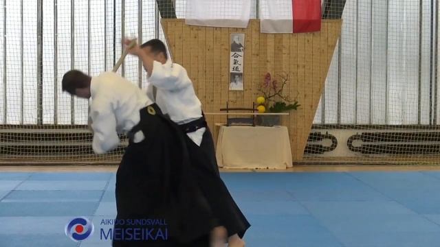 6 Aikido Ken No Tebiki Ai Hanmi Ikkyo Omote, Shishiya Sensei Pilsen Oktober 2018