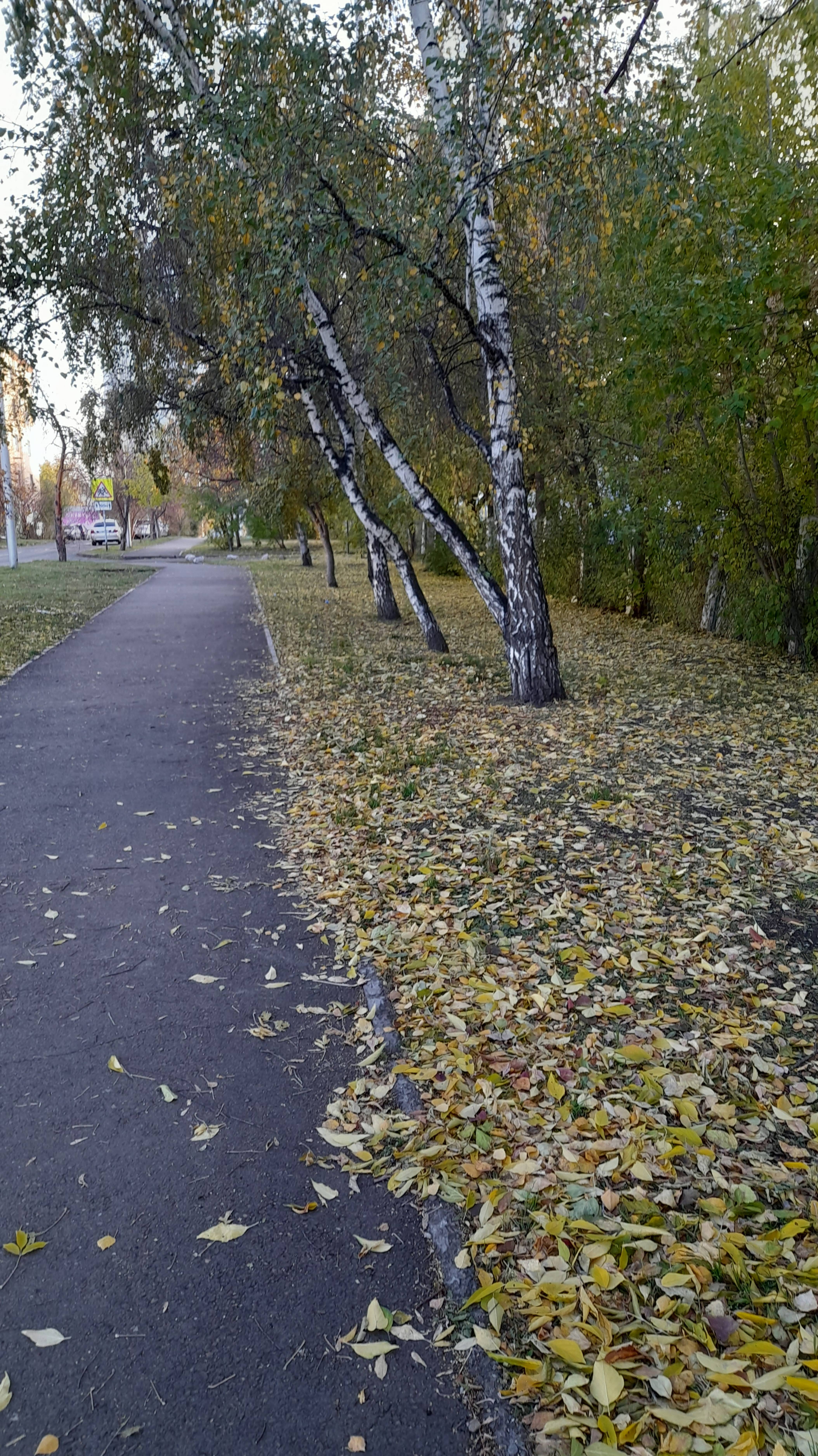 Пою в пути. Скоро осень, господа!