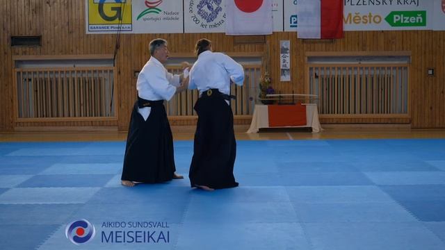 17 Aikido Ai Hanmi Do Barai Ikkyo, Nikyo & Sankyo Shishiya Sensei Pilsen 2023