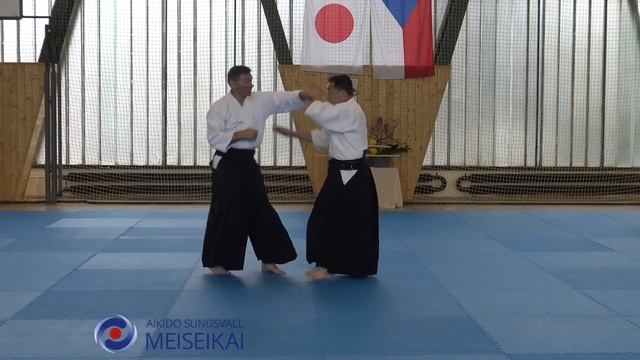 12 Aikido Ai Hanmi Kotegaeshi Omote, Shishiya Sensei Pilsen Oktober 2018