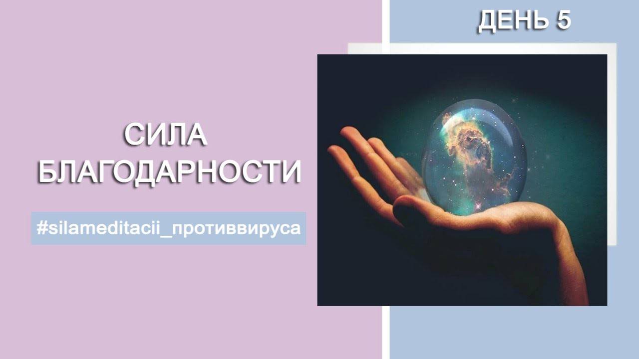 Сила Благодарности | Практика квантовых трансформаций | "Сила медитации против вируса" | День 5