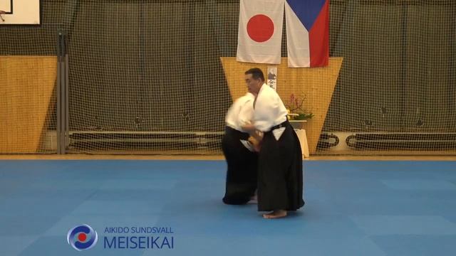 2 Aikido Ai Hanmi Do Barai Kokyonage Pilsen, Shishiya Sensei Oktober 2018
