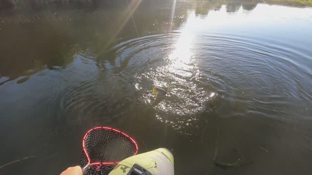 Вниз по Сиве за щукой ч.2