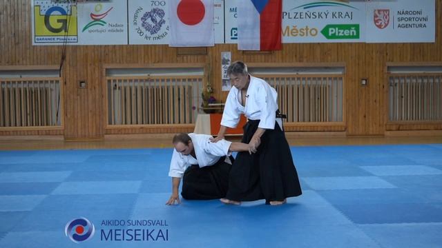 3 Aikido Ai Hanmi Ikkyo Omote Shishiya Sensei Pilsen 2023