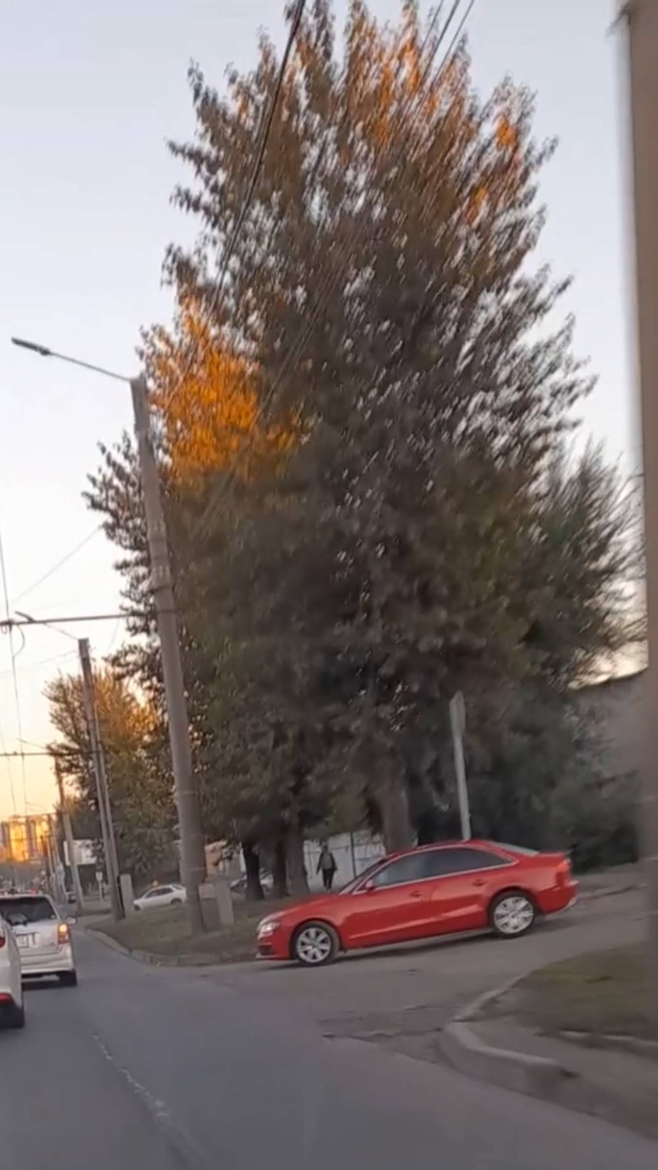 Пою в пути. Романс  "Только раз" , сентябрь 2024