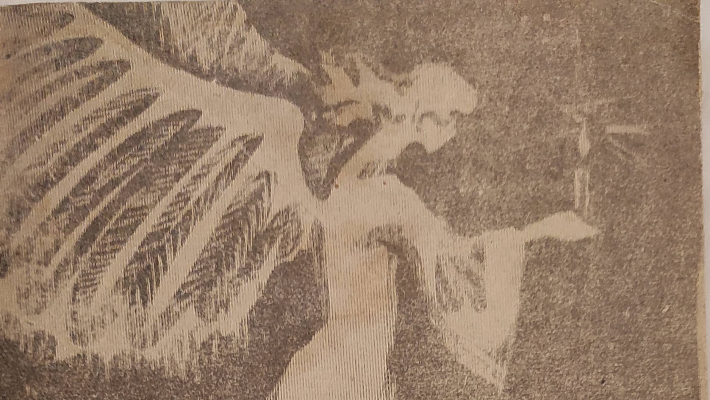 КНИГА 591 Лилия Вереина На долгие лета (Астрахань, 1993)