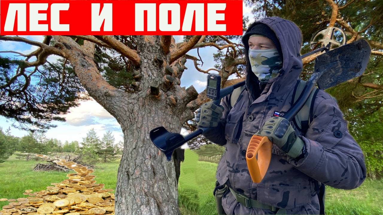Шли в ЛЕС а вышли на ПОЛЕ! Поиск Находок с Металлоискателем