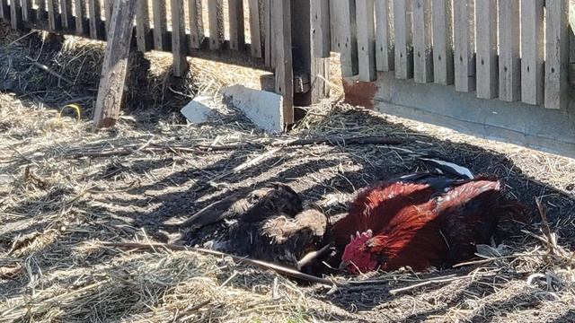 Спа — это комплекс процедур, способствующих расслаблению, очищению и оздоровлению тела.