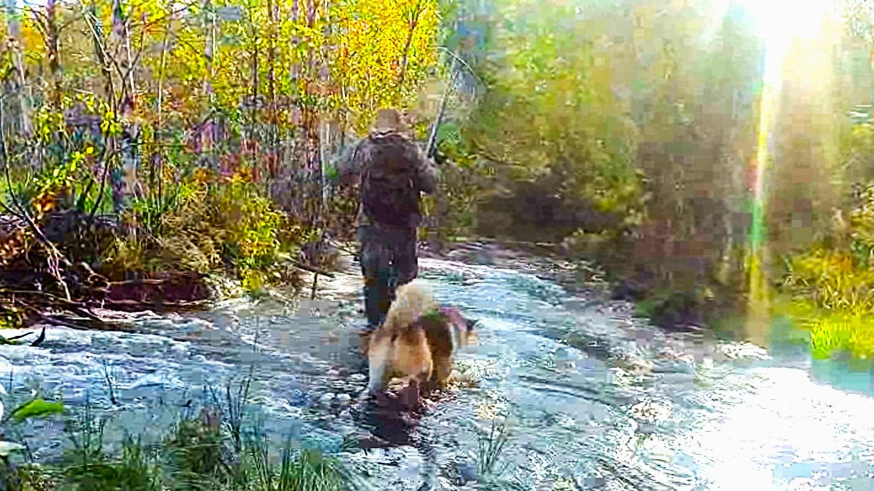 Рыбалка в Карелии. Две ночи в осенней тайге. Окуни и щуки лесного озера.