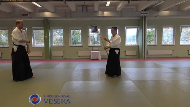 19 Aikido Ken No Tebiki Ai Hanmi Iriminage Omote Malmö 2019