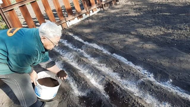 МОРКОВЬ (советы бывалого)