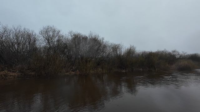 Лежа - Олежа ( Блондинка прощай )