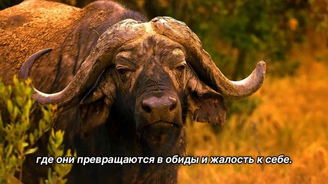 Ежедневники