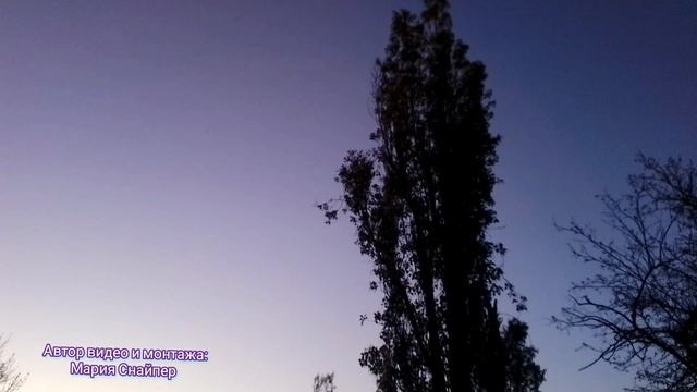 весенняя прелестная пора. #1мая