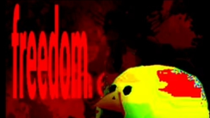 Был на сходке Korzh15k Чикен ган читы чикен ган chicken gun Zhura24k Den19k Dima300k Koresh24k KTEAM