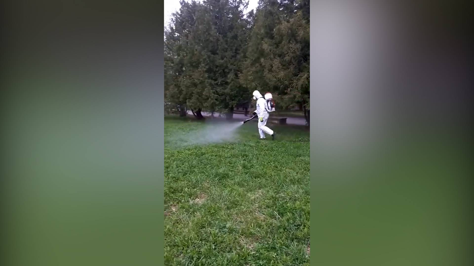 (Рыбинск-40) ГОРОДСКИЕ ТЕРРИТОРИИ ОБРАБОТАЛИ ОТ КЛЕЩЕЙ