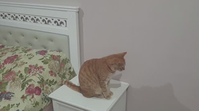 Новый спальный гарнитур. 🛌🛌🛌