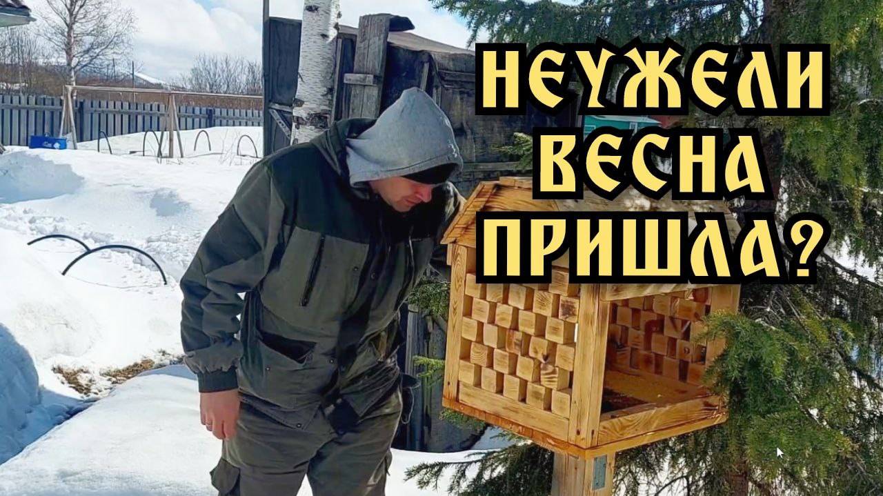 Приехал на дачу весной. Обзор дачи после зимы. Что случилось?