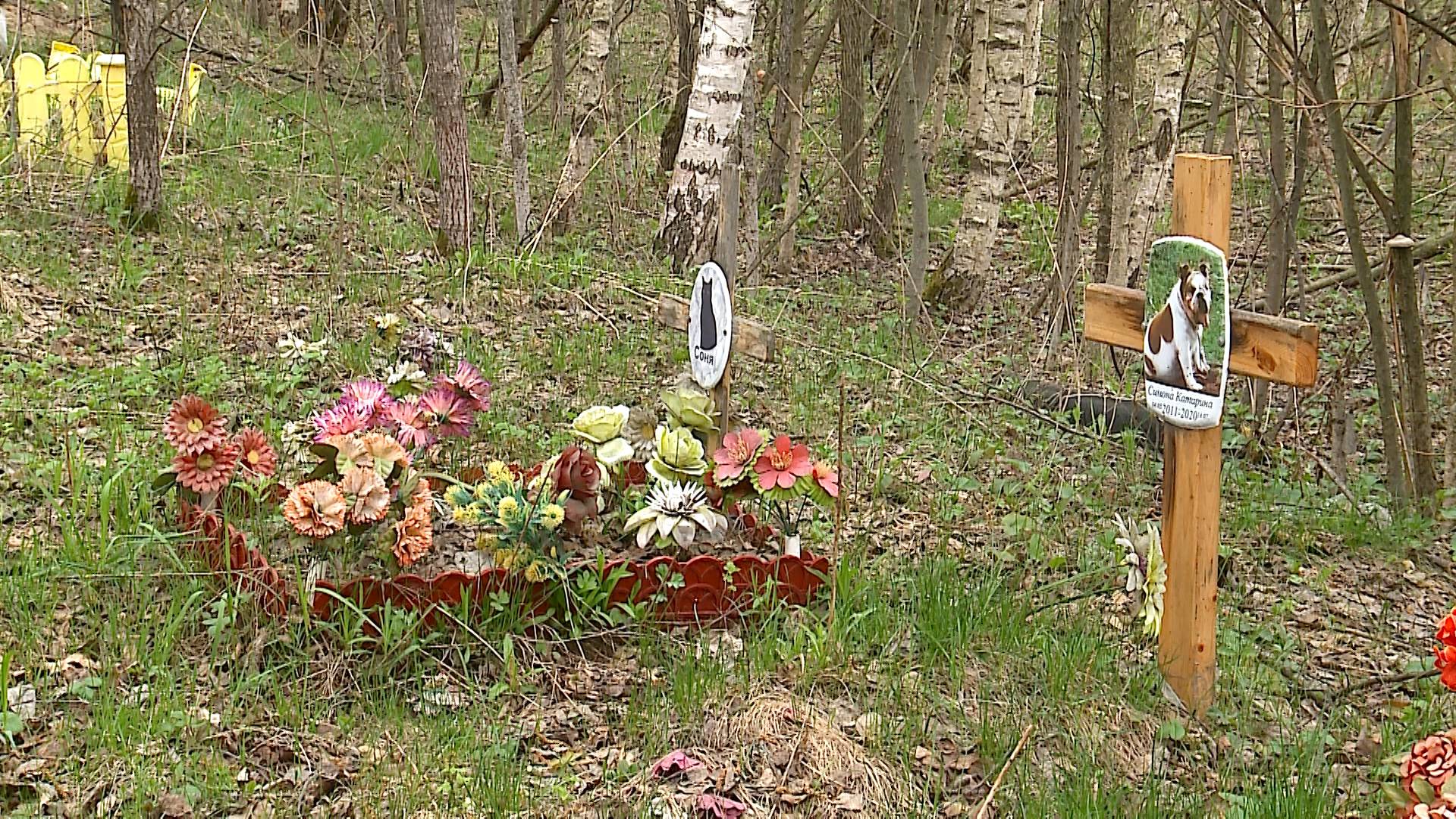 (Рыбинск-40) КЛАДБИЩЕ ДОМАШНИХ ЖИВОТНЫХ ПОД ЗАПРЕТОМ