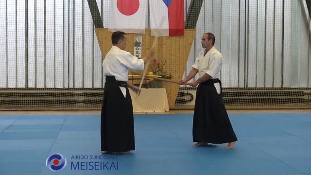 4 Aikido Jo Tai Ken Shomen Uchi Ikkyo Omote, Shishiya Sensei Pilsen Oktober 2018