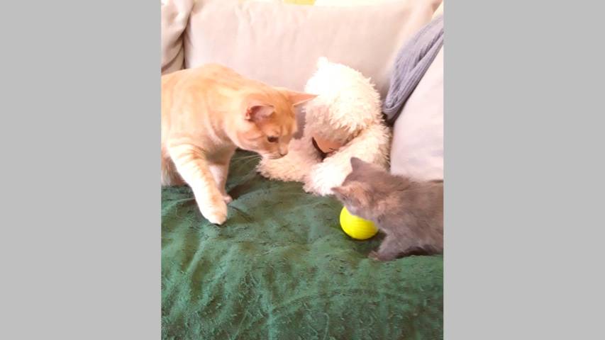 Вот как не принять, а?