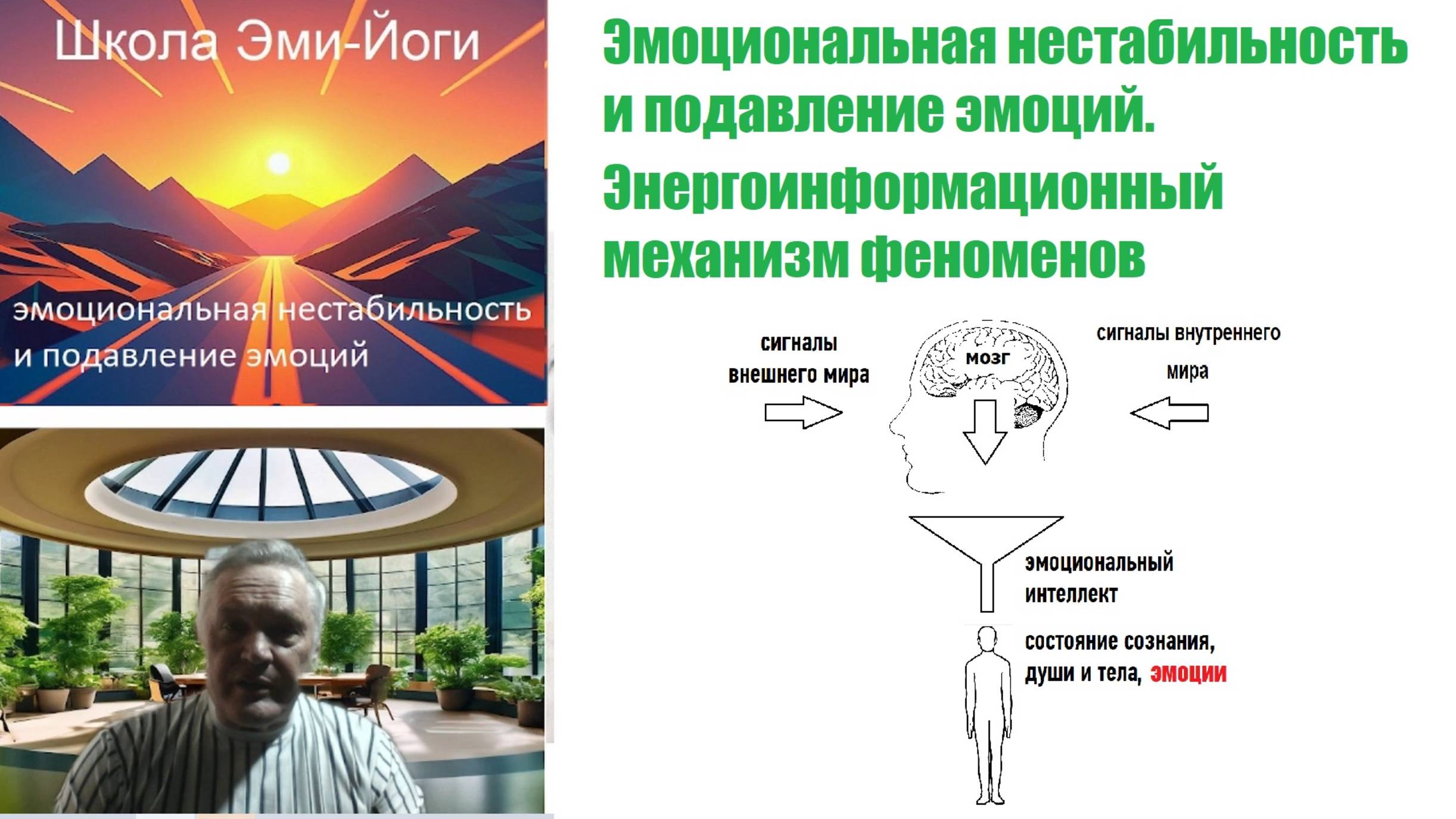 Эми-Йога. Эмоциональная нестабильность и подавление эмоций. Энергоинформационный механизм феноменов