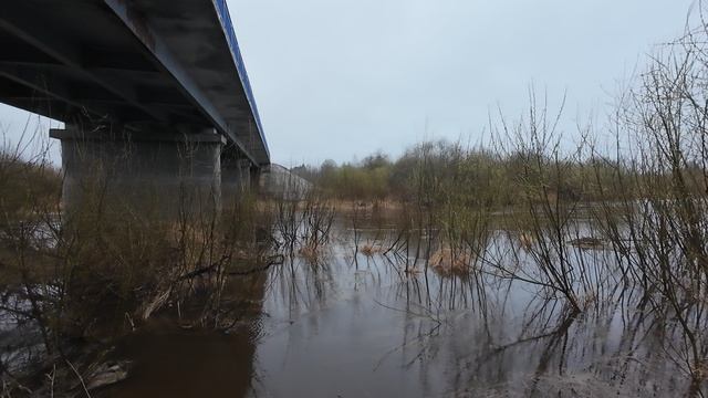 Лежа - Олежа ( Загрузка )