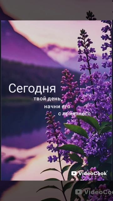 Сегодня твой день