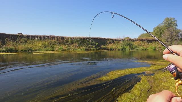 За щукой вниз по Сиве ч.1
