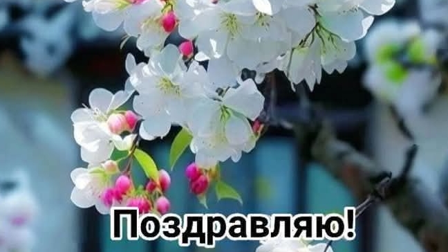 Шашлычок. 1 мая 2025 год.