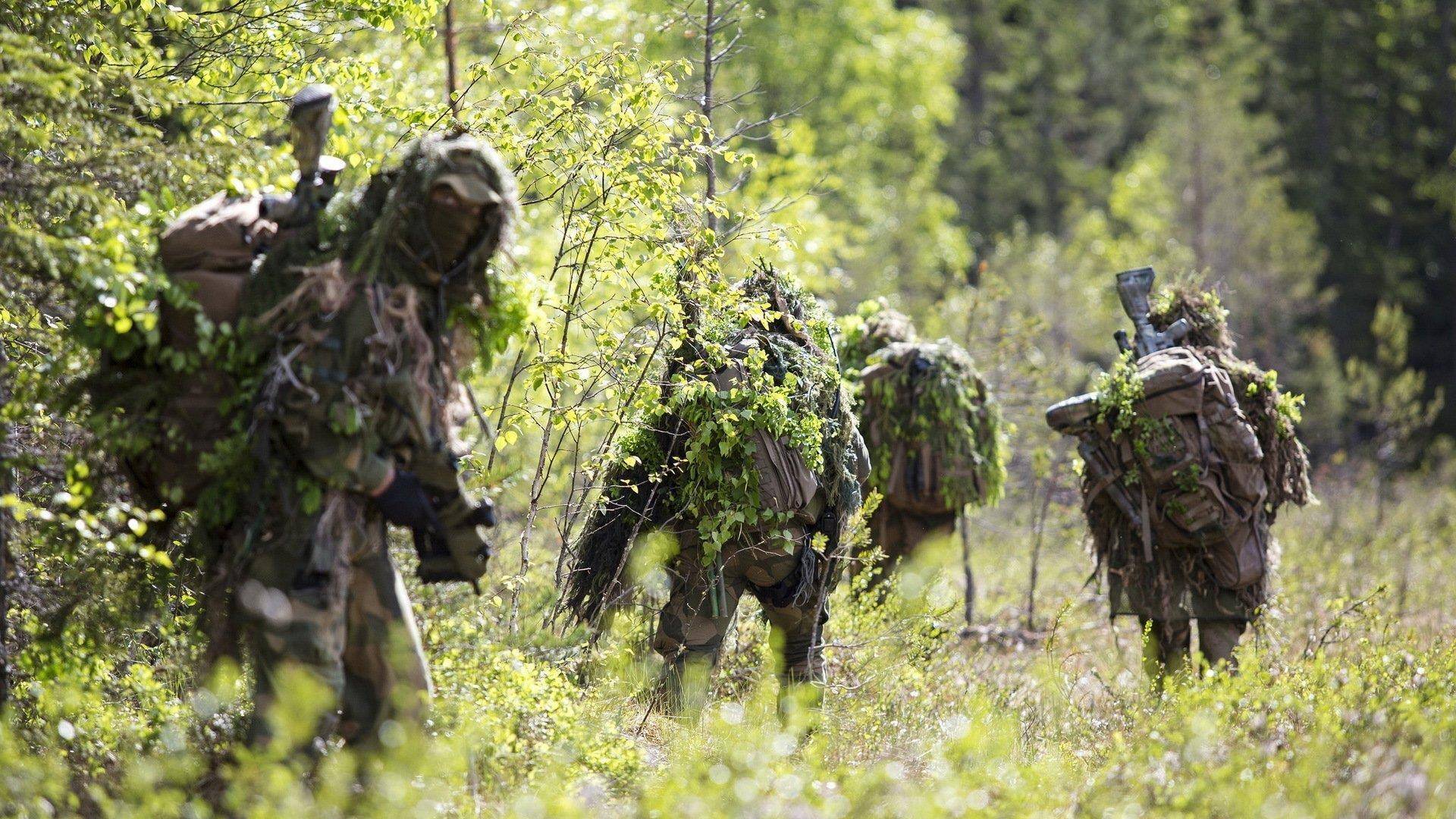 ВС России разыскивают почти 200 украинских военных в лесах Курской области