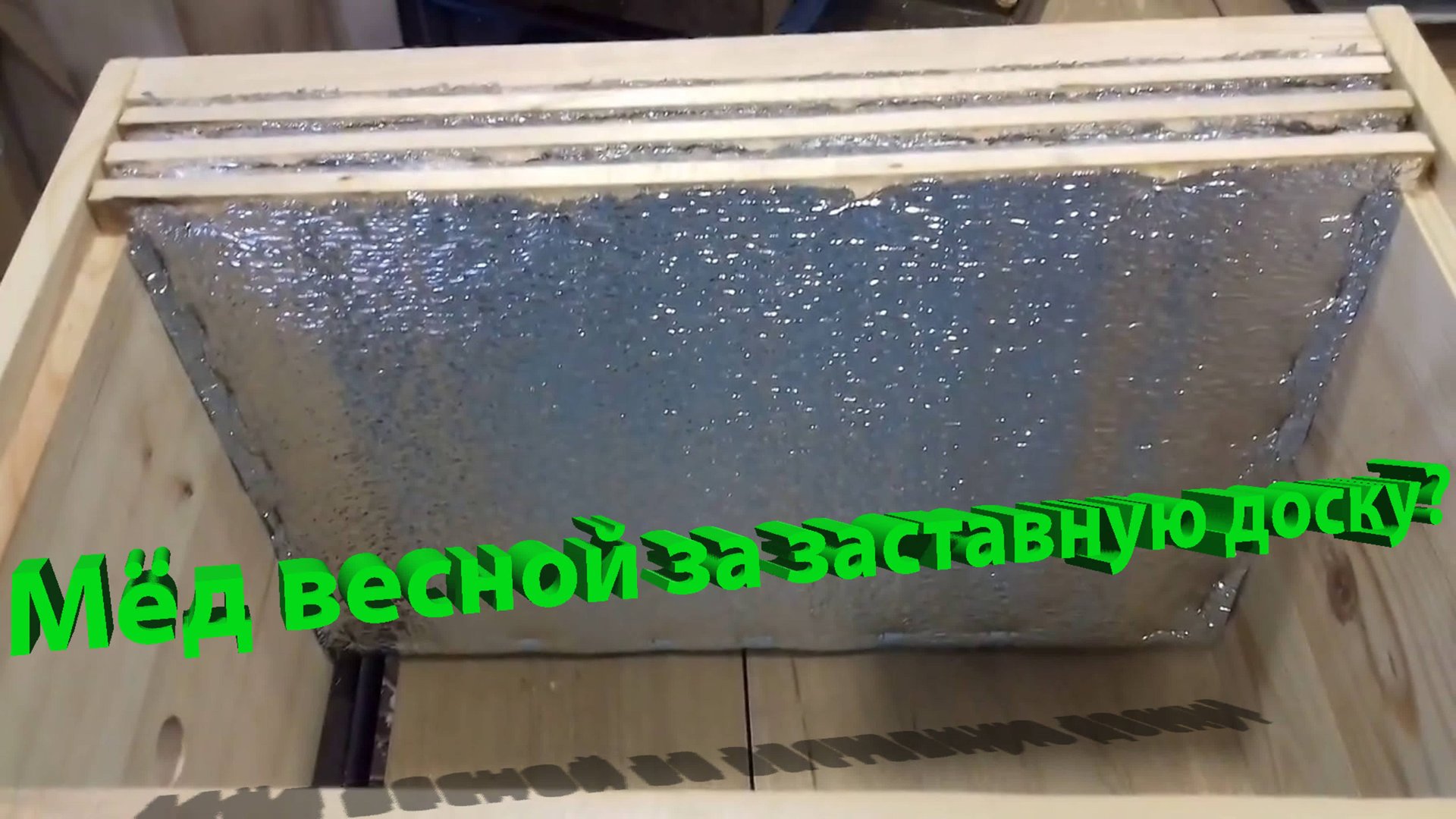 Весенний уход за пчёлами: профессор Пашаян объясняет, куда нельзя ставить мёд