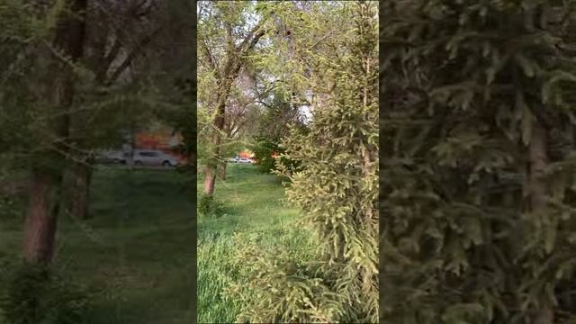 Весенний Оренбург