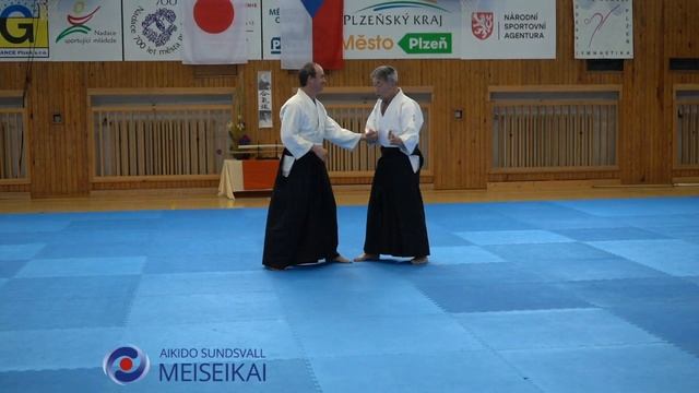 4 Aikido Gyaku Hanmi Tainotenkanho Shishiya Sensei Pilsen 2023