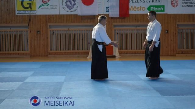 13 Aikido Ai Hanmi Kotegaeshi, Shihonage & Iriminage Shishiya Sensei Pilsen 2023