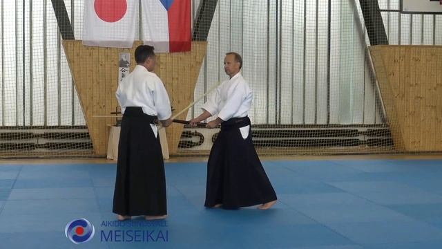 8 Aikido Ken Tai Ken Shomen Uchi Ikkyo Omote, Shishiya Sensei Pilsen Oktober 2018