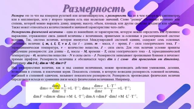 Размерность