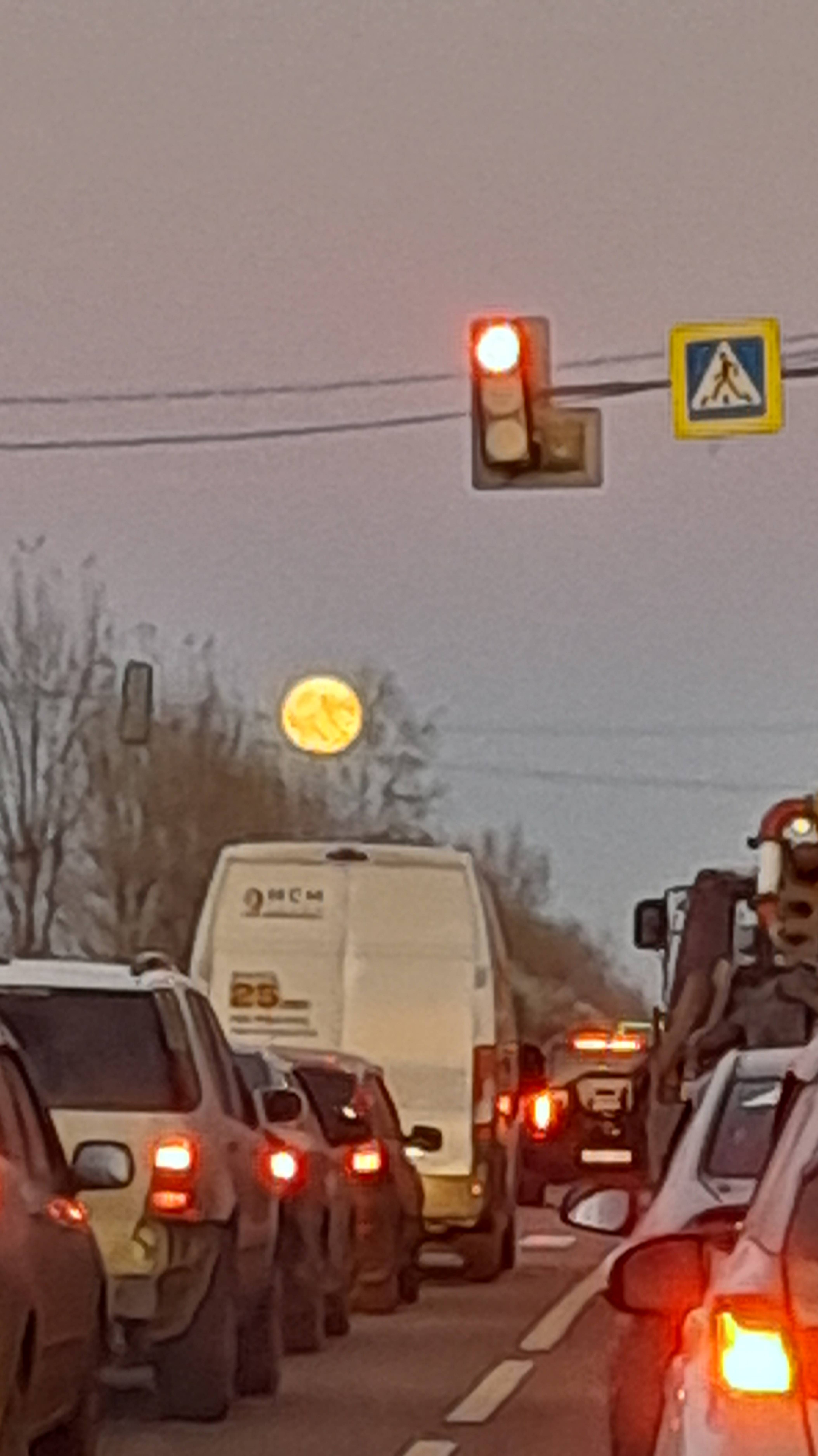 Суперлуние 17 октября 2024. И немного про дачных кошек