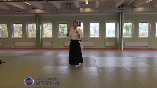 20 Aikido Tachidori Ikkyo Omote Shishiya Sensei Malmö 2019