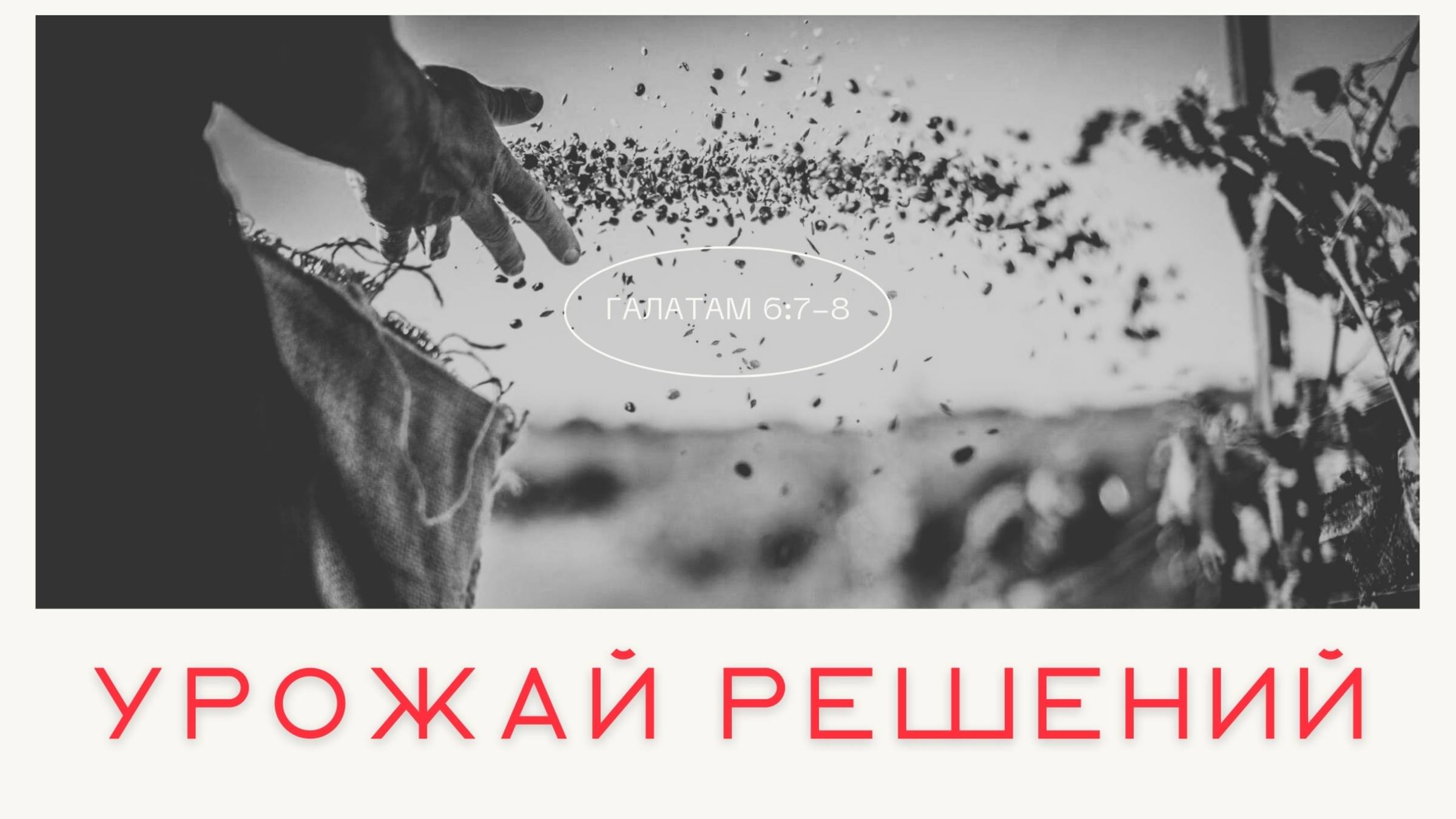 Урожай решений | Алим Усманов | Церковь "Неемия" г. Омск