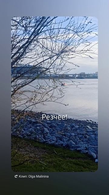 Суровый тренер 🤣