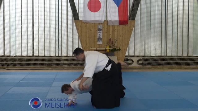 3 Aikido Ai Hanmi Ikkyo Omote Pilsen, Shishiya sensei Oktober 2018