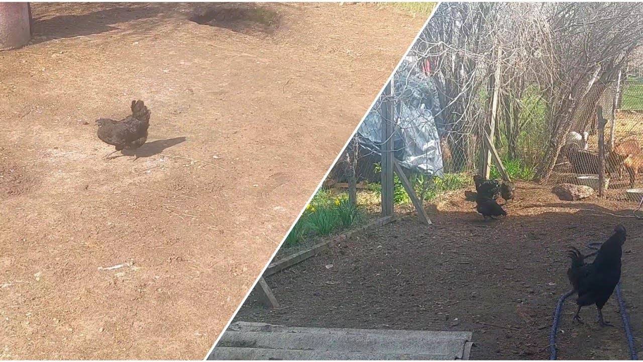 КАКИЕ ЖЕ ЭТО Ухейилюй_...! 🤦_♀️ ЧТО ЗА ЛЮДИ 🤷_♀️