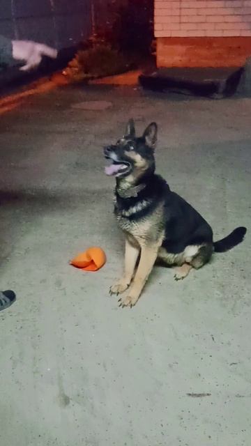 Кувырок отказывается делать!