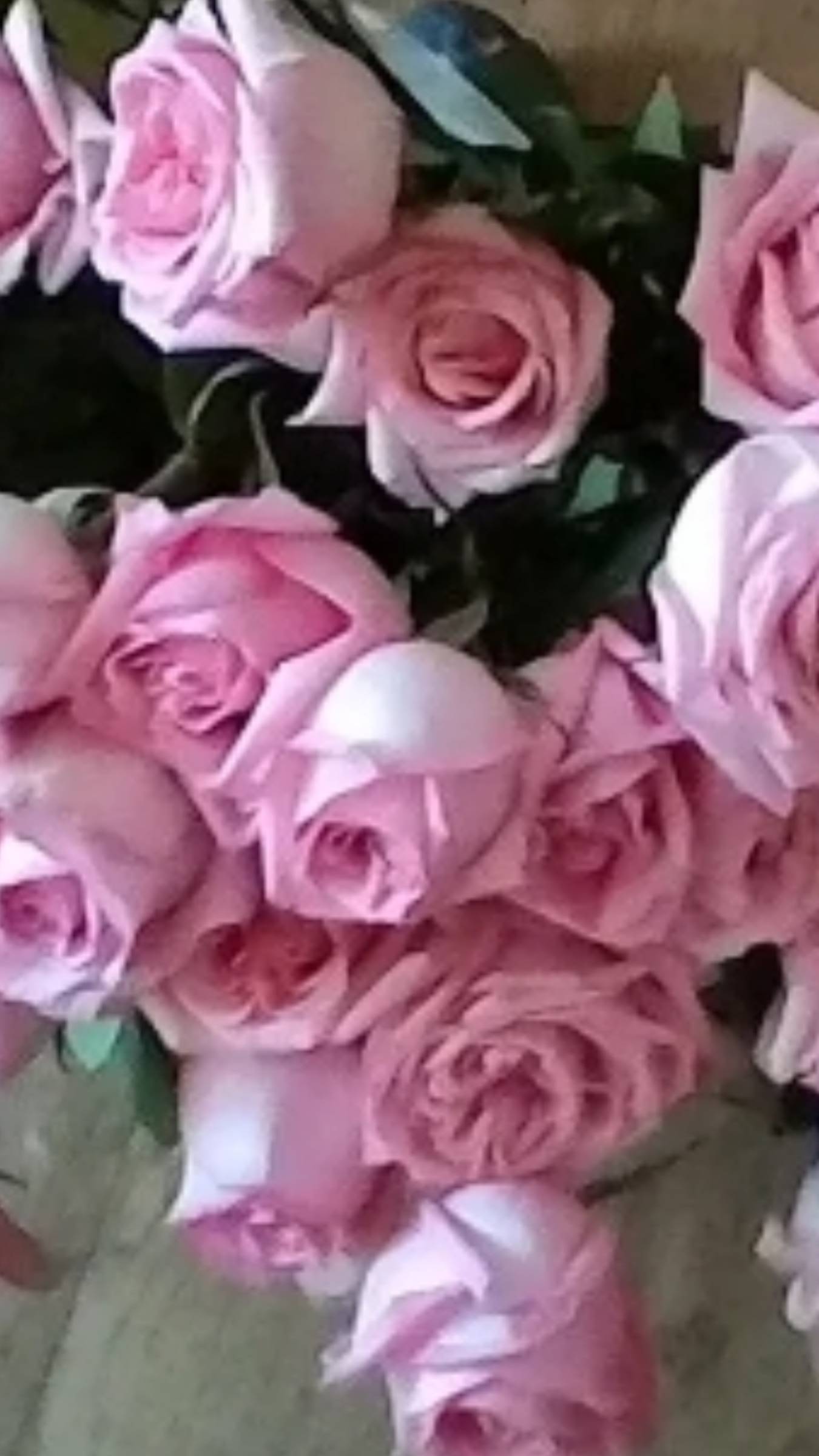 Пою в пути. Романс Вдыхая розы аромат