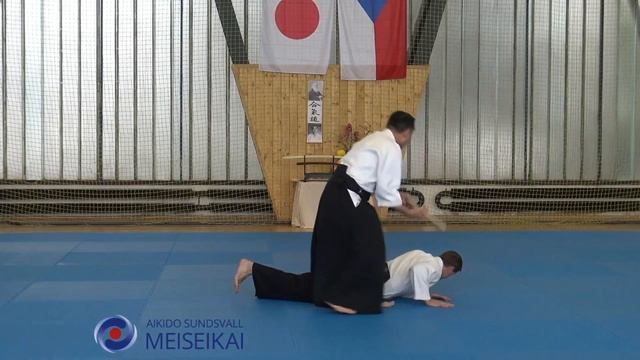 9 Aikido Jo No Tebiki Ai Hanmi Ikkyo Omote, Shishiya Sensei Pilsen Oktober 2018