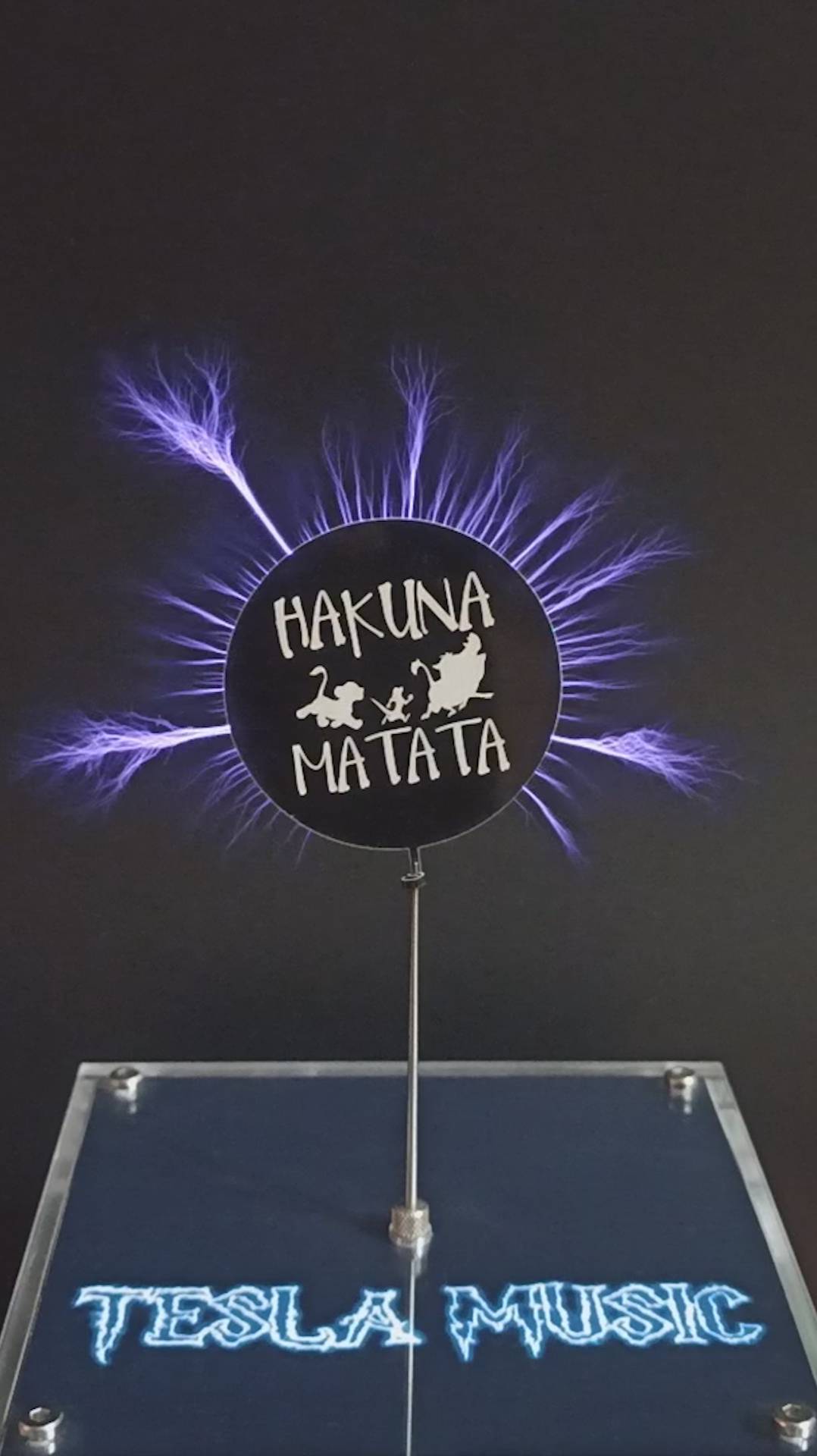 Песня Тимона и Пумбы Акуна Матата Tesla Music #2024 #video #shorts #short #shortvideo  #teslamusic