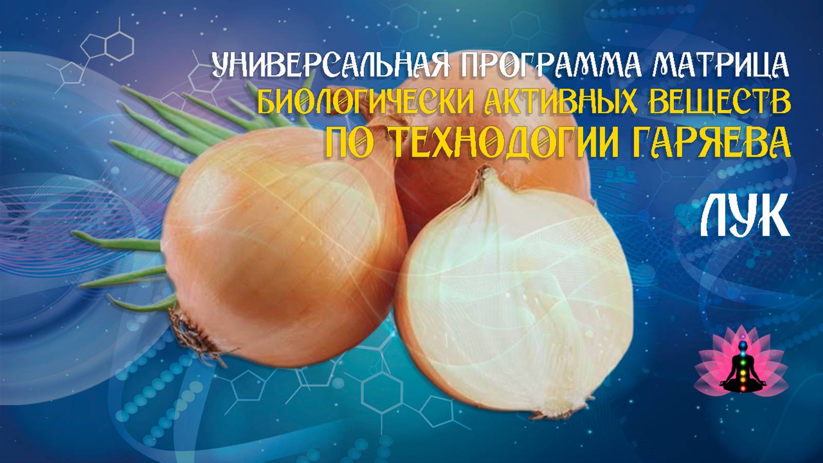 Лук 🔊 программа матрица по технологии Гаряева П.П ☀️ SoftRadio.ru