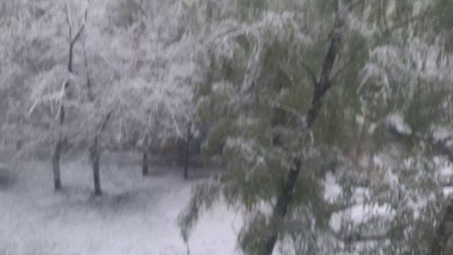 Снег 2 мая 2025. Север Подмосковья Это уже становится традицией 57303785