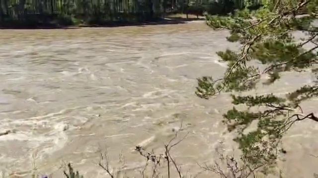 Сила воды реки Катунь 01.05.25.